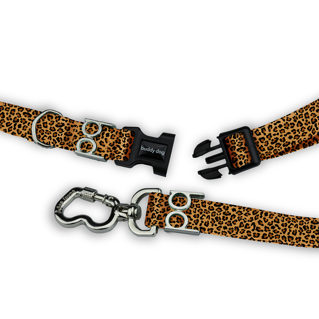 Guia Tradicional Duna - Buddy Dog