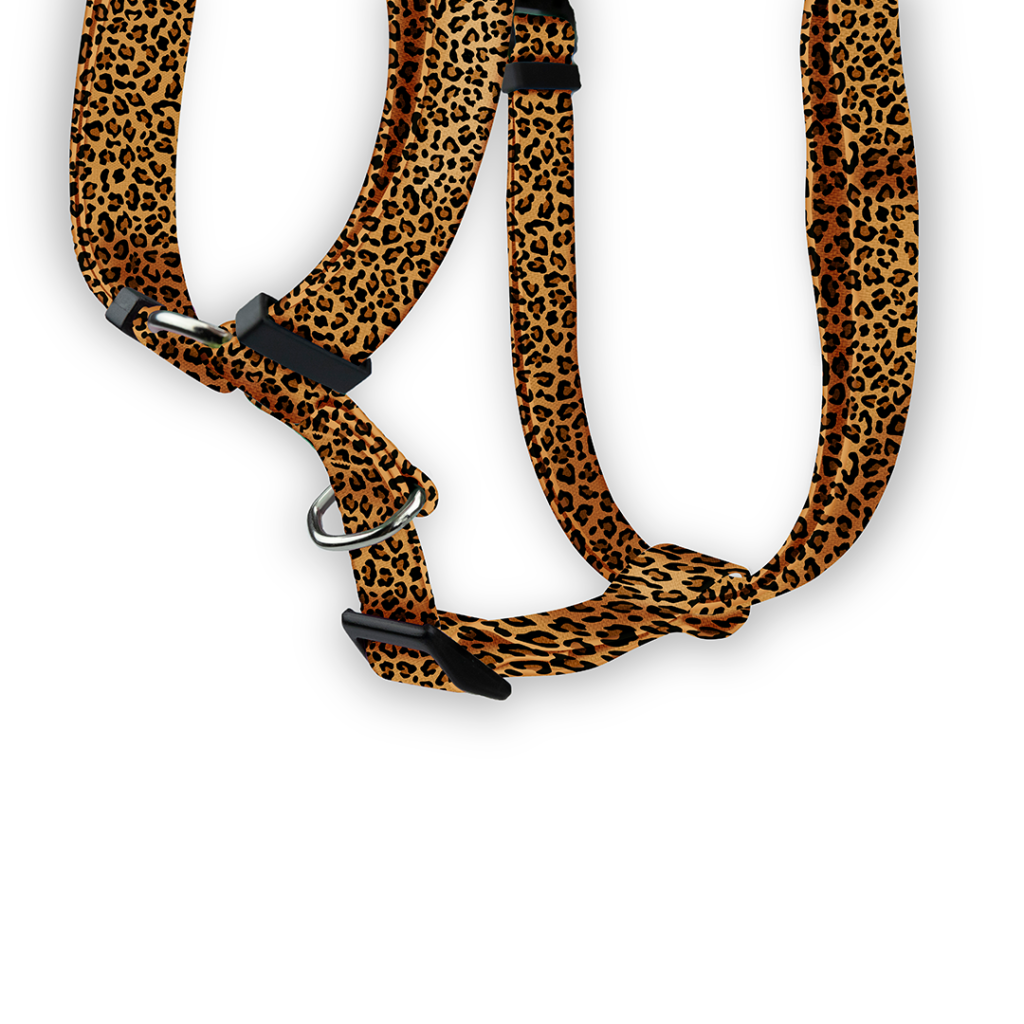 Guia Tradicional Duna - Buddy Dog