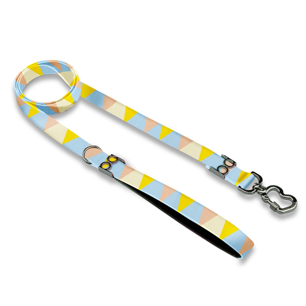 Guia Tradicional Duna – Buddy Dog