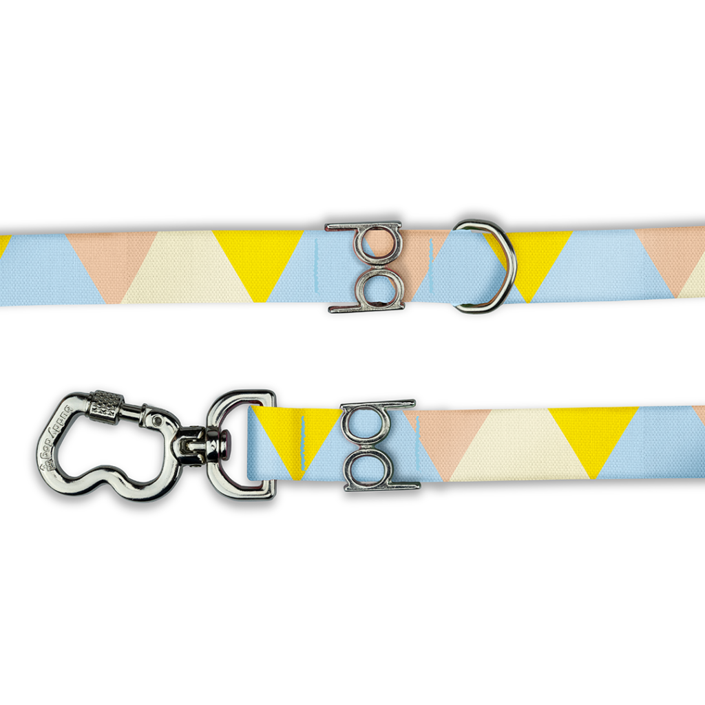 Guia Tradicional Duna – Buddy Dog