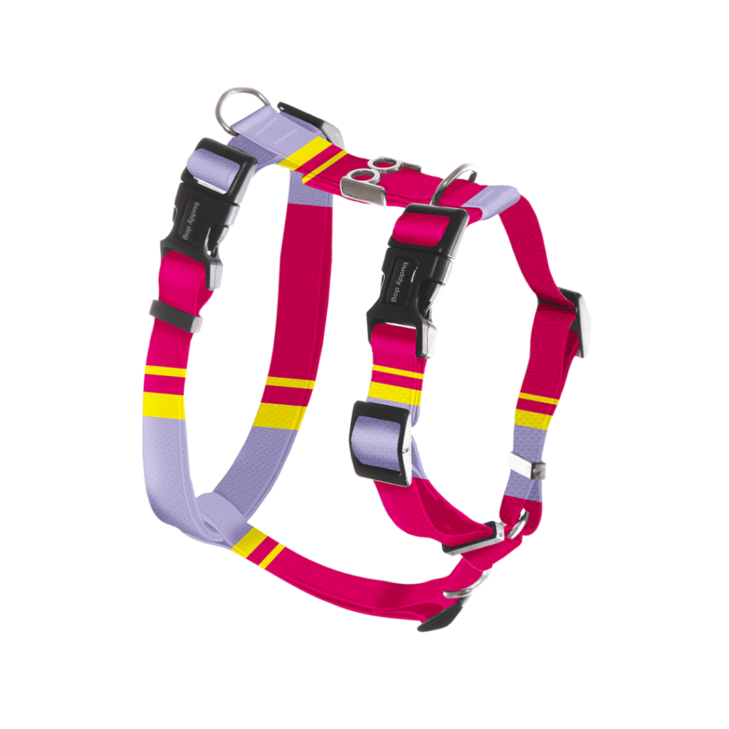 Peitoral para Gatos Duna - Buddy Dog